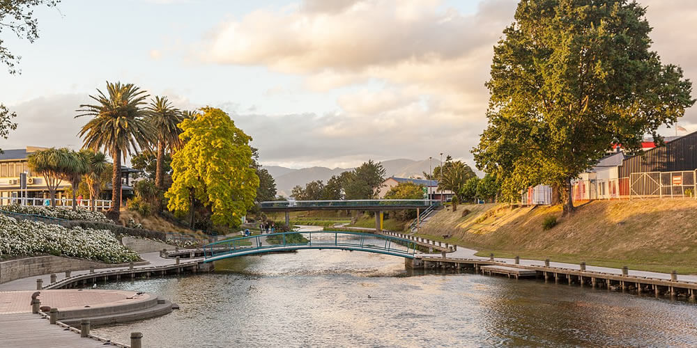 Website Design Blenheim » NZ SEO Services ~ Small Business Website ...